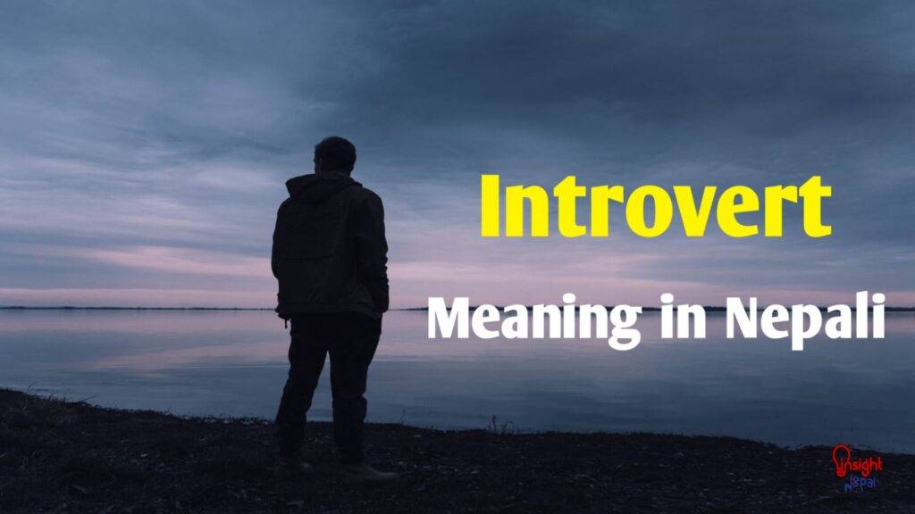 Blogs Archives - Insightsnp